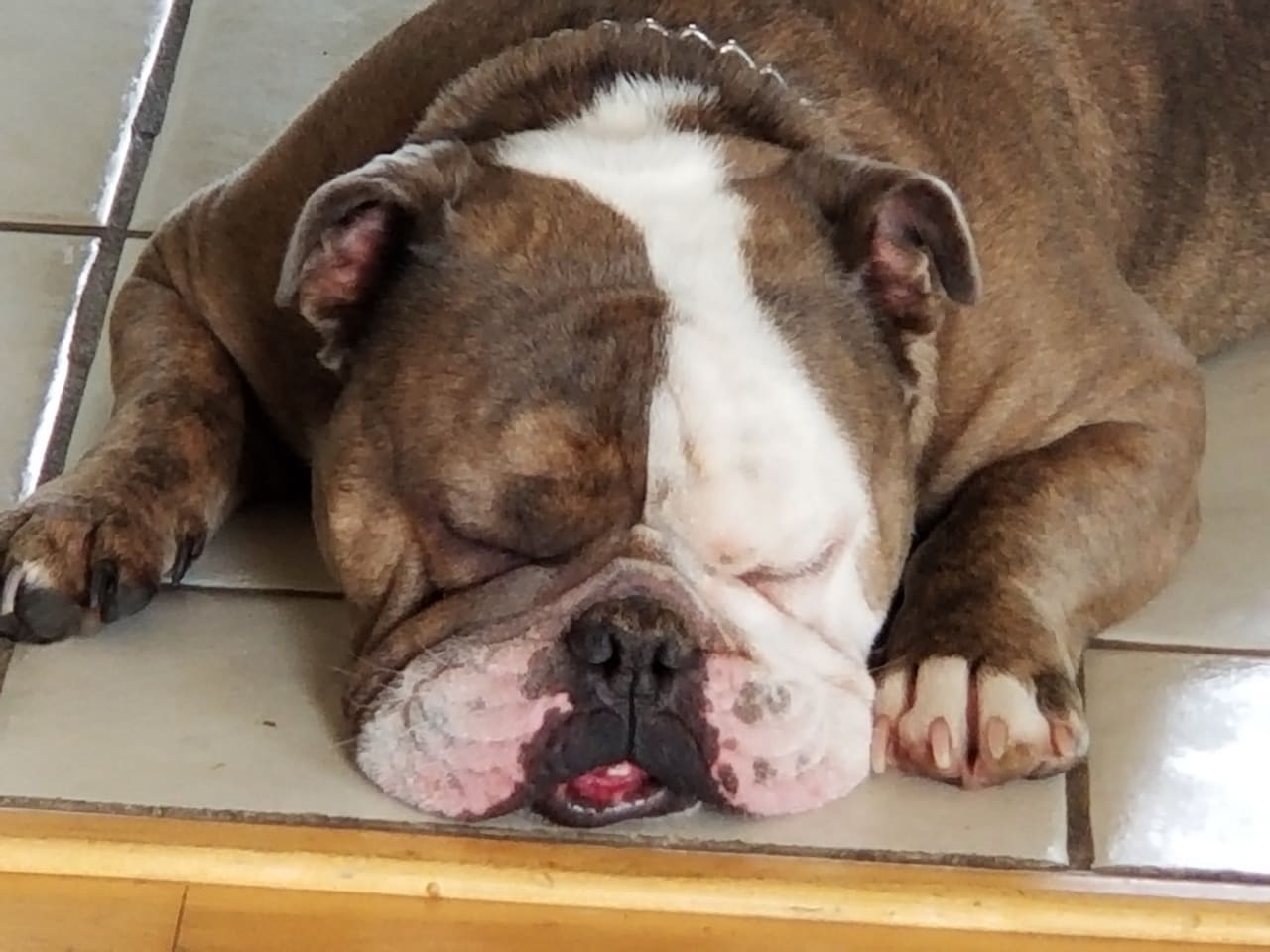 A post from Jay Dub in Detroit.