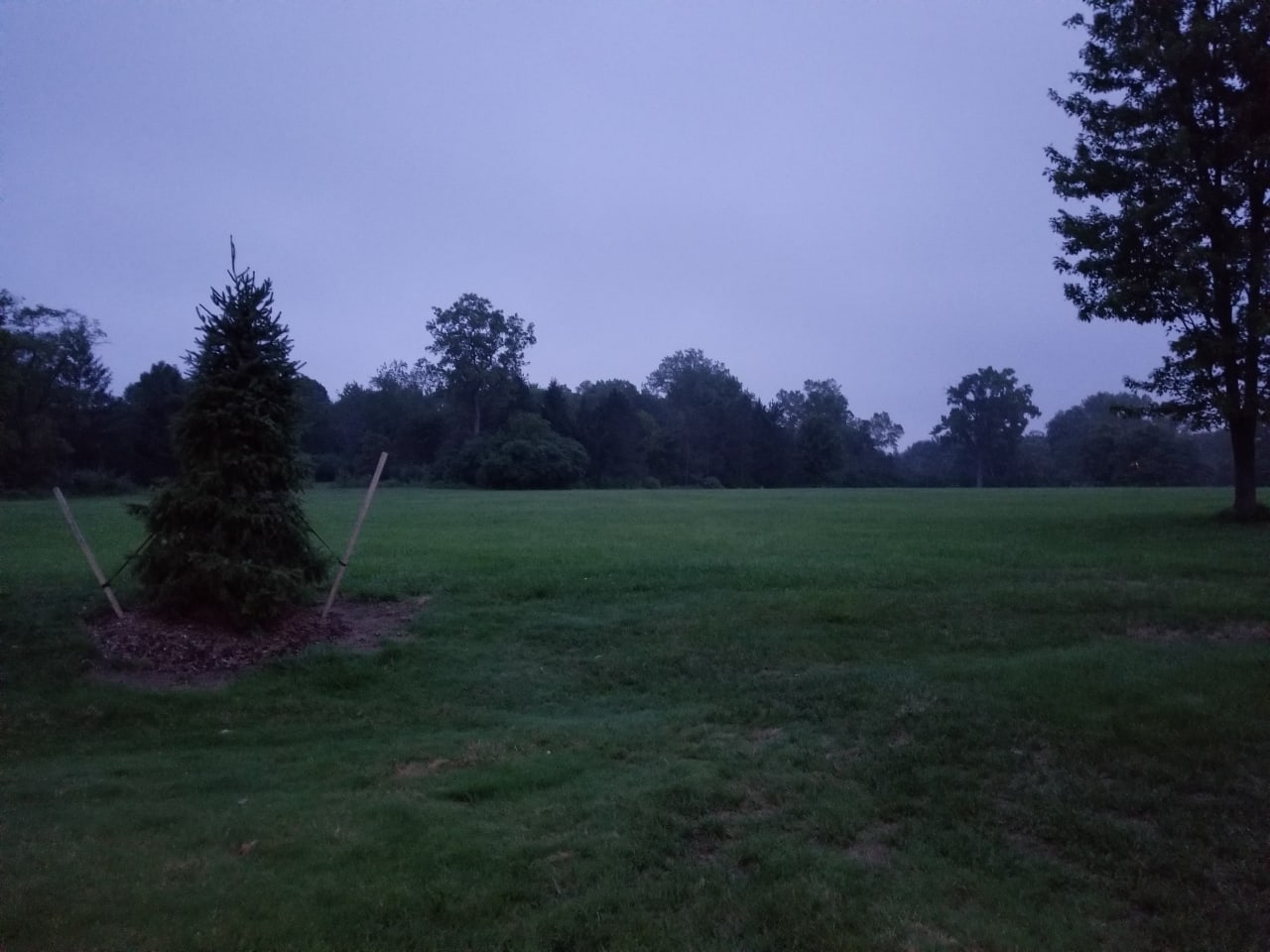 A post from Marilynn Leedom in Farmington Hills.