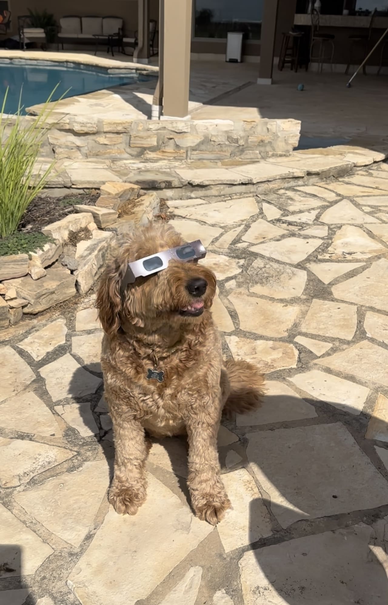 A post from Janet Zerr in San Antonio.