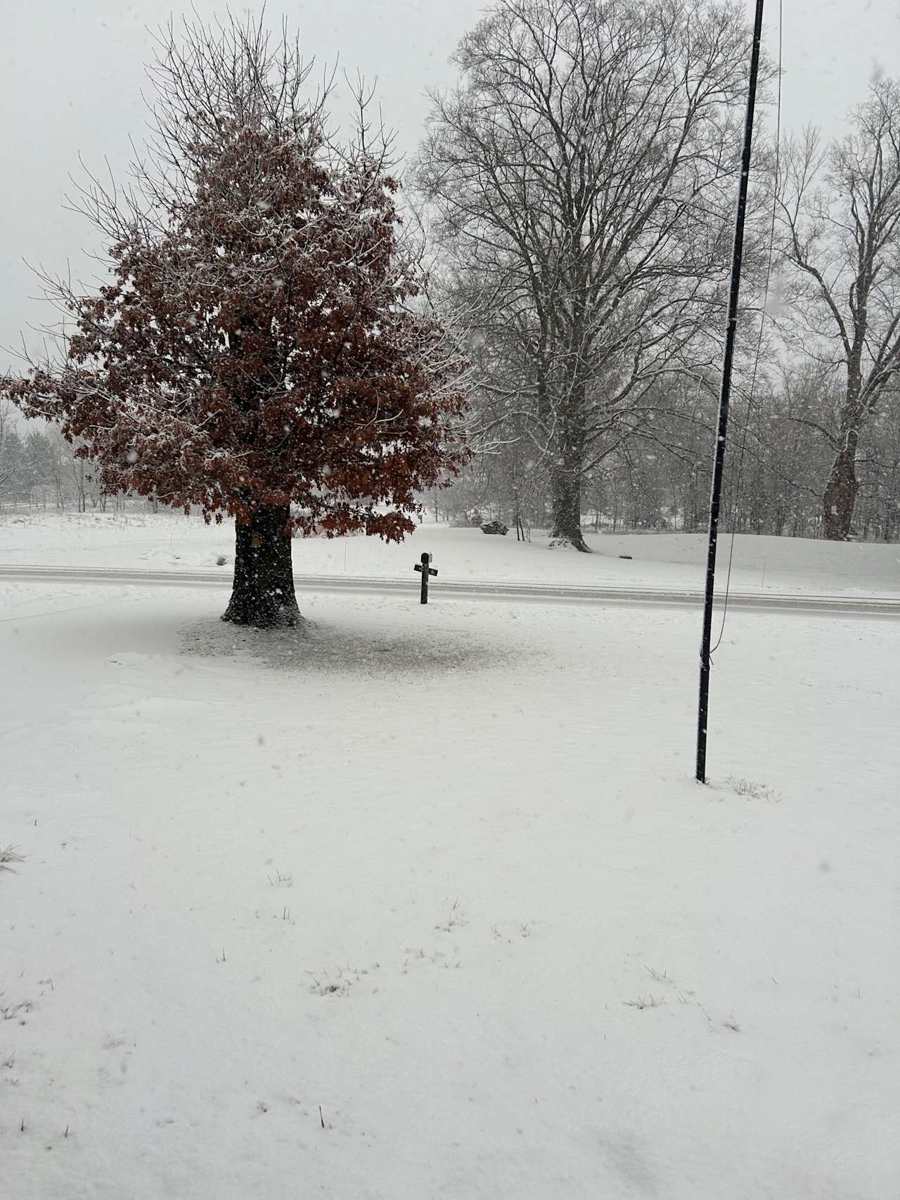 A post from Nancy Labelle in Howell.