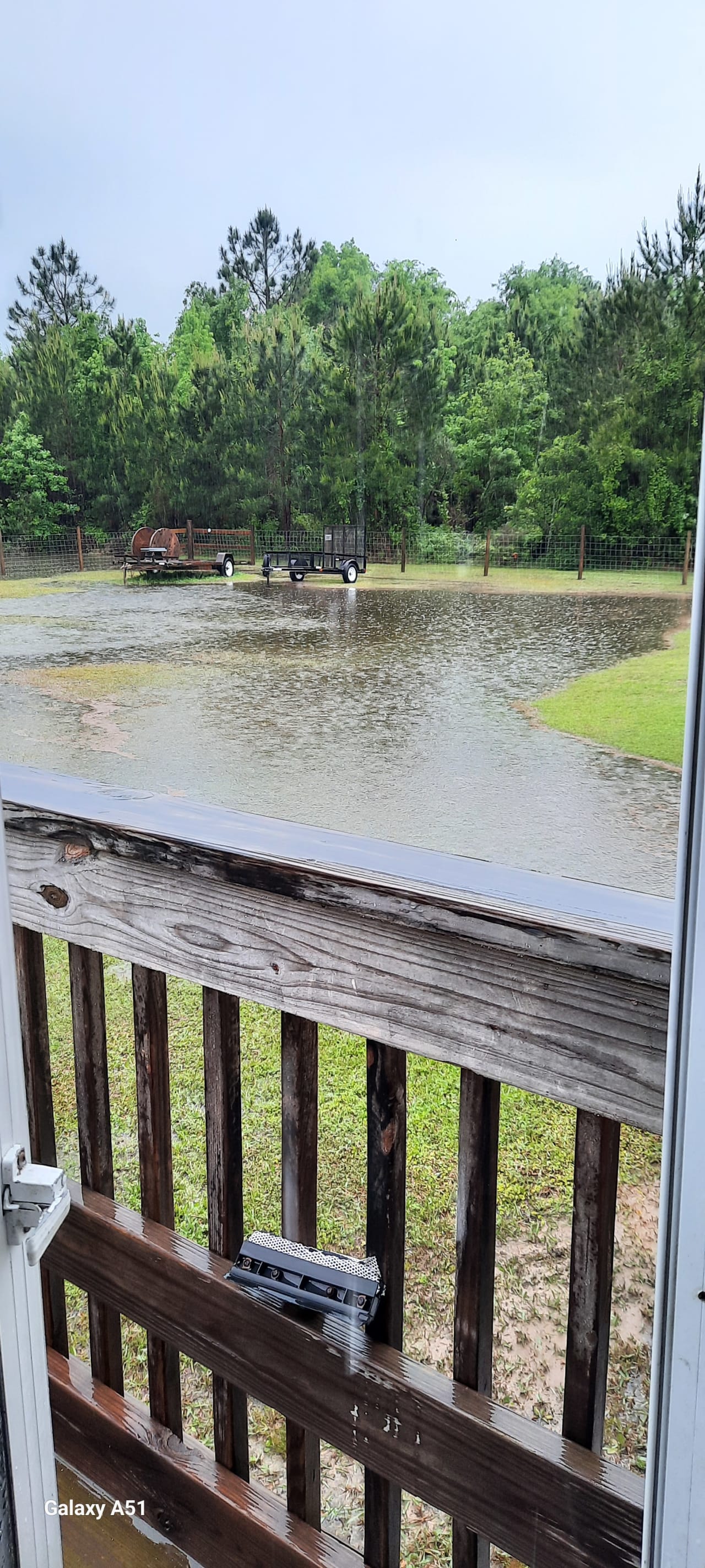 A post from phyllis in Jacksonville.