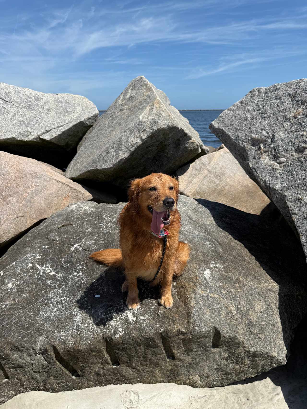 A post from Andre Mills in Jacksonville.