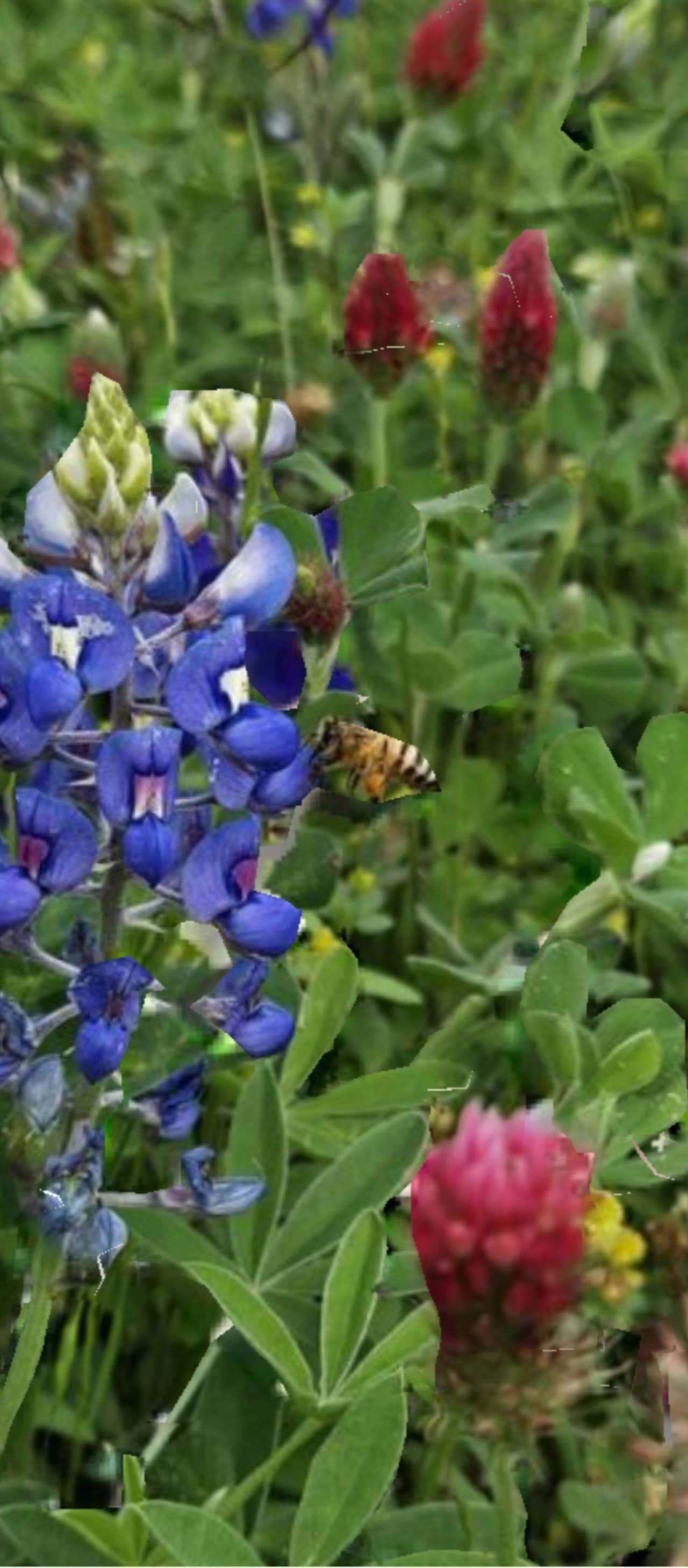 A post from Ron D. in Houston.