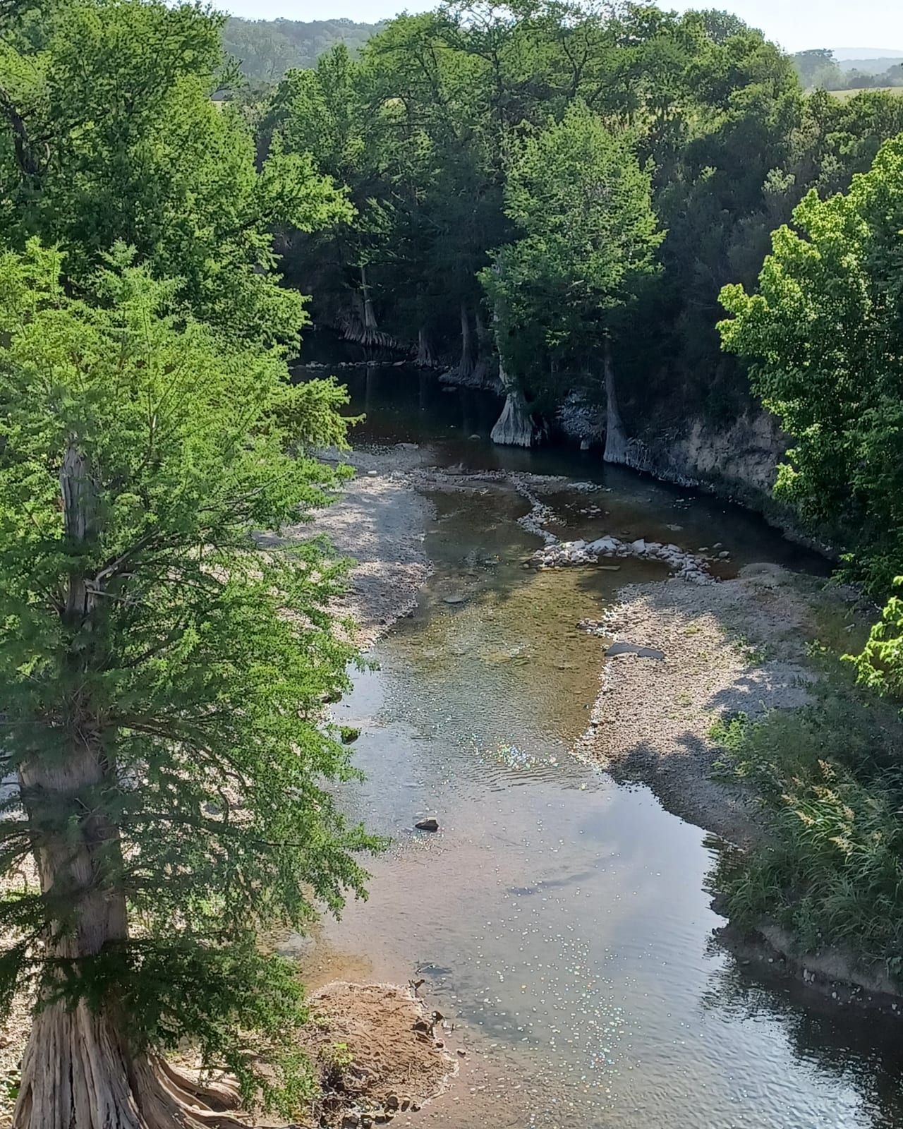 A post from Marlena Lau in Sisterdale.