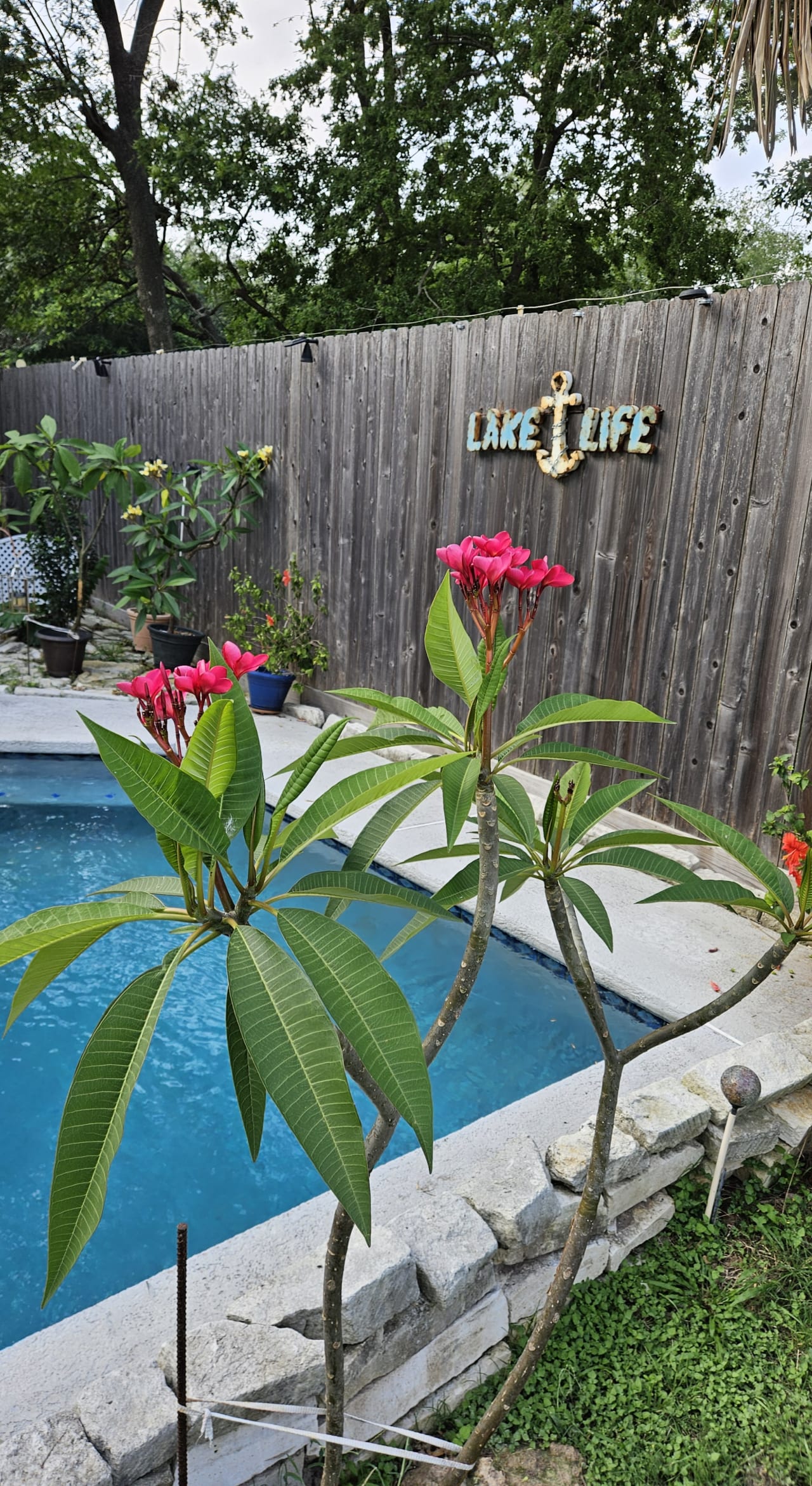 A post from Ron D. in Houston.