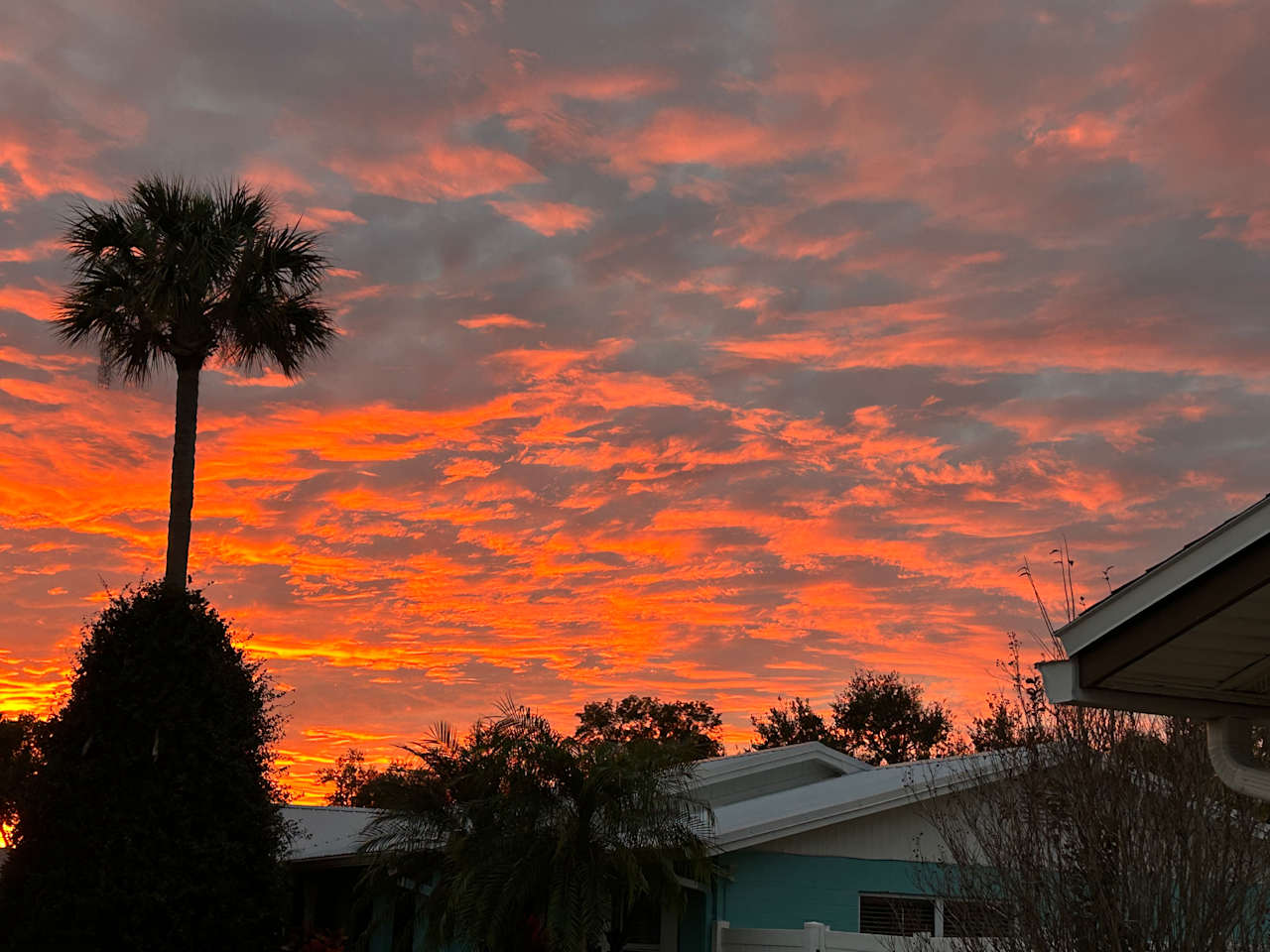 A post from Gene Schlegel in Palm Grove.