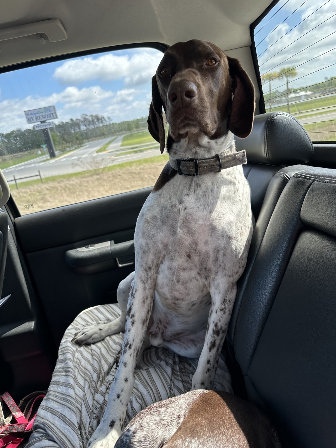 A post from Vicky Boston in Jacksonville.