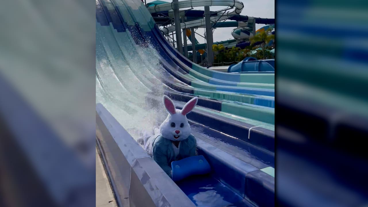 A post from Crystal Moyer - Insider Guide in Orlando.