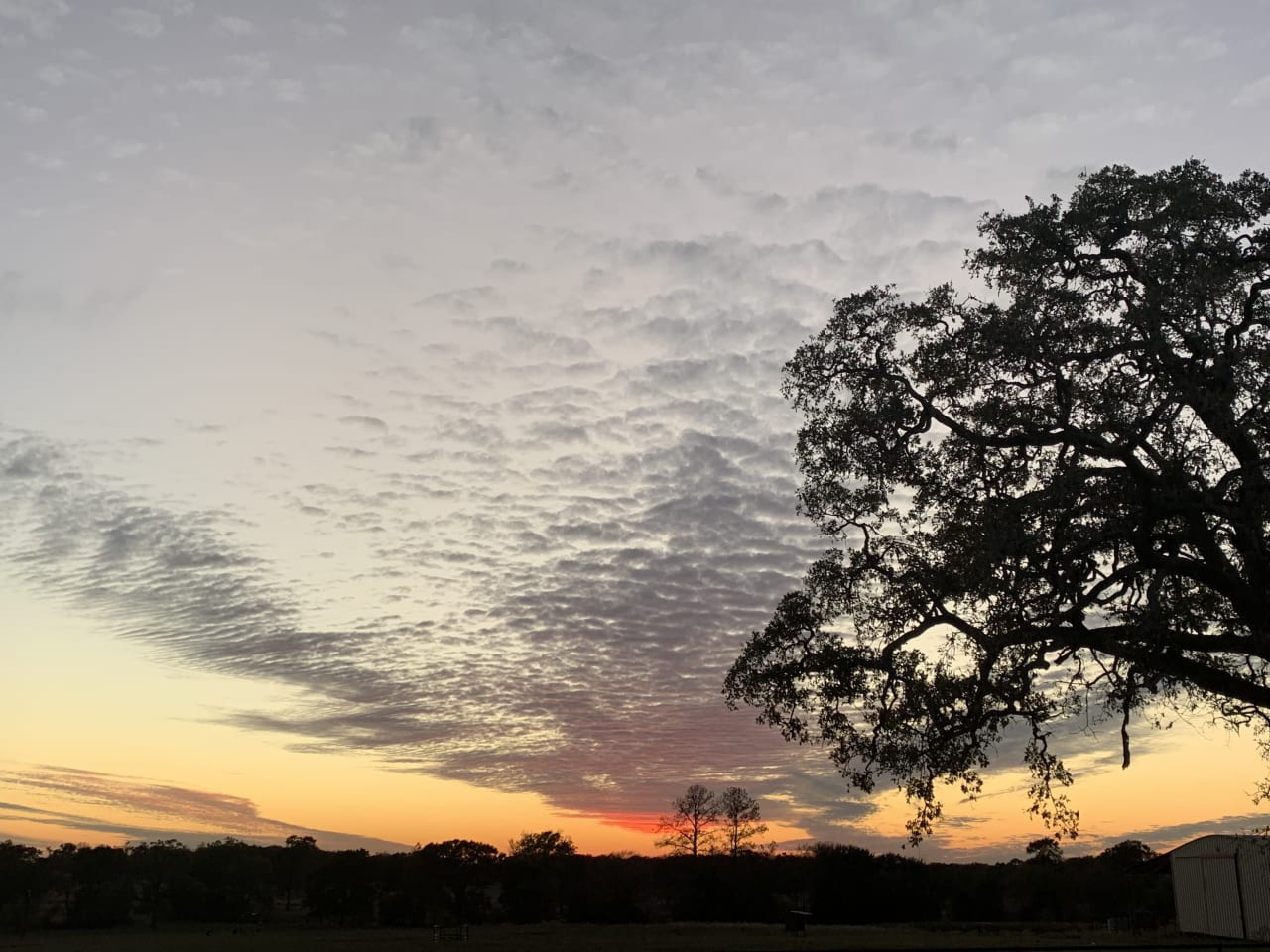 A post from Rhonda Edmonds in Wesley Grove.