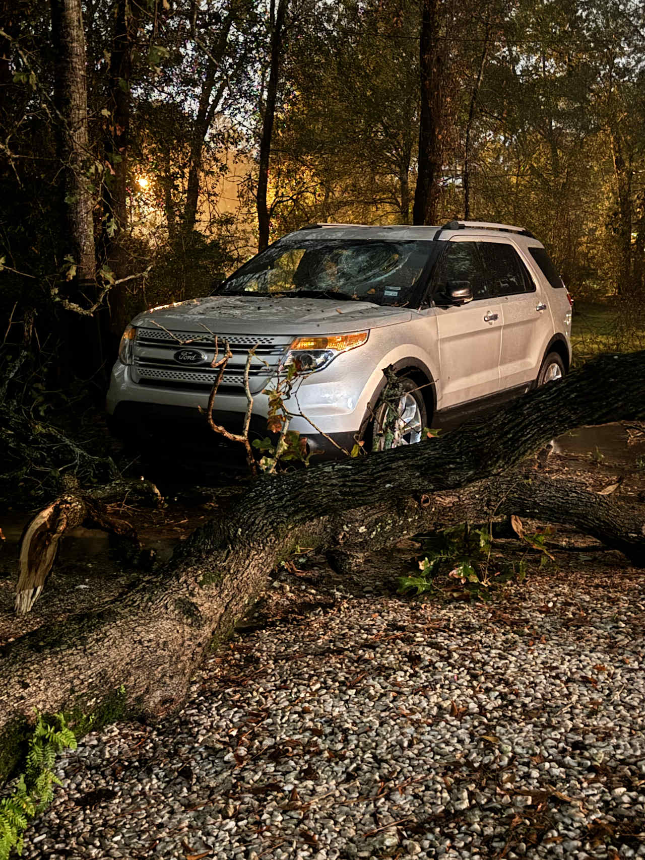 A post from Chris Severy in Cypress.