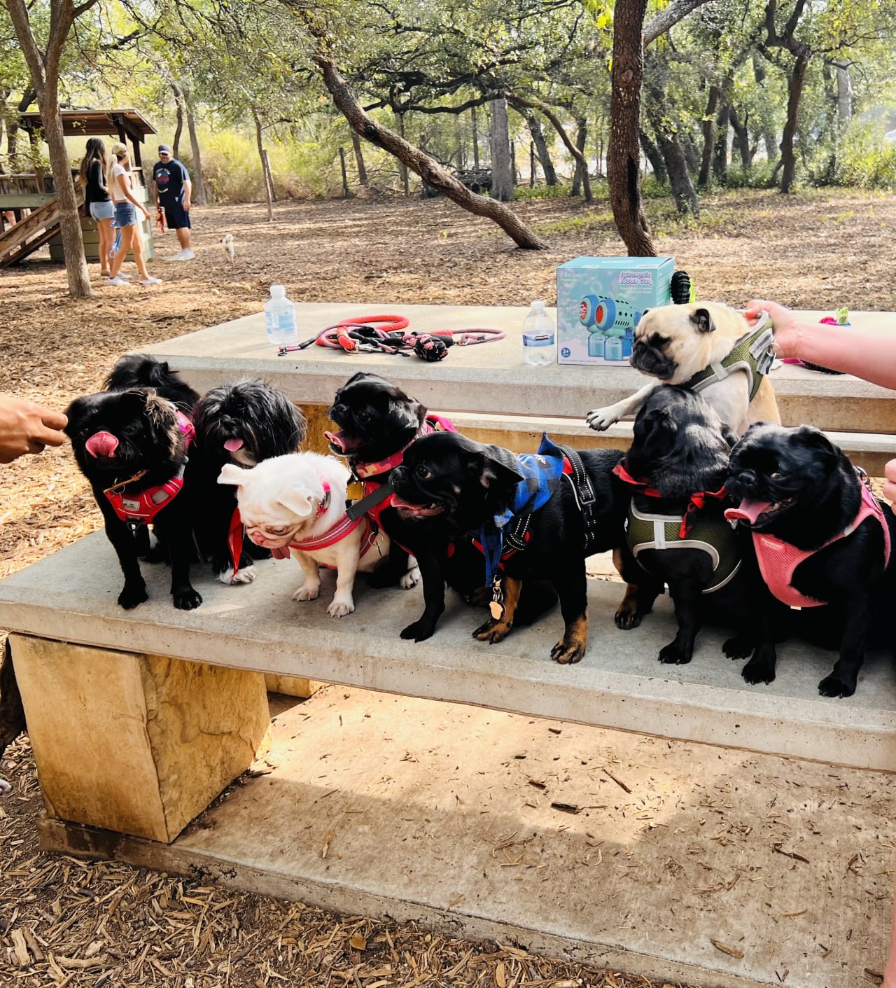 A post from Crystal J in San Antonio.