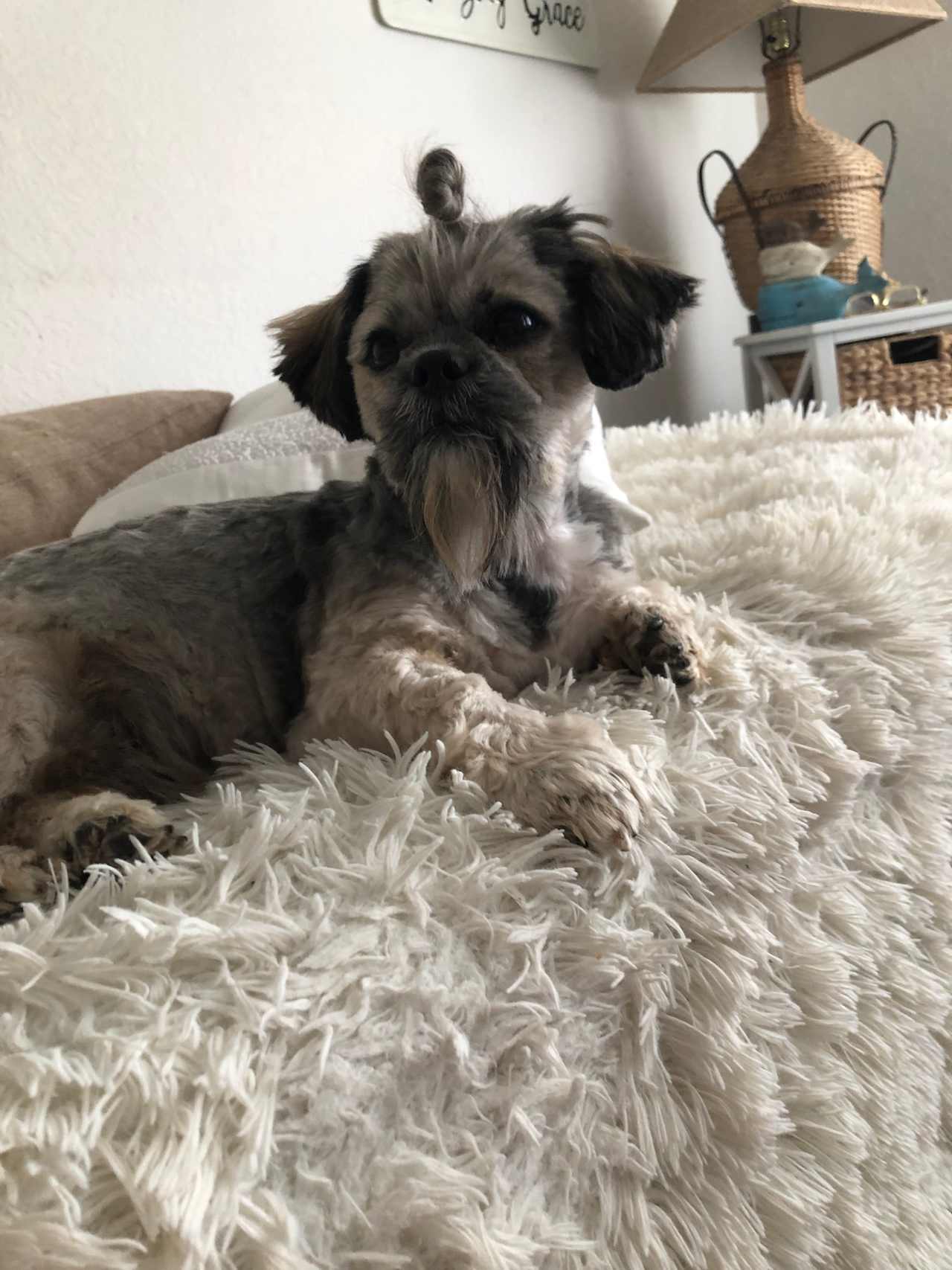 A post from Coco9 in Port Orange.