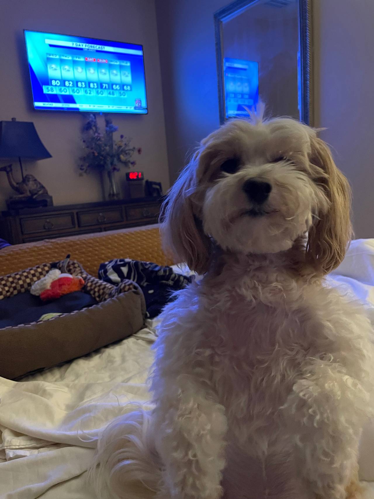 A post from Jeanie bartle in The Villages.