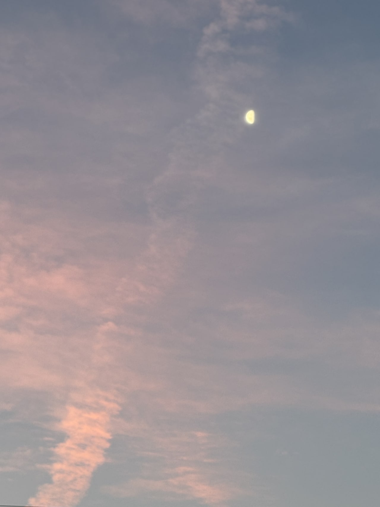 A post from Rhonda Maddox in Callahan.