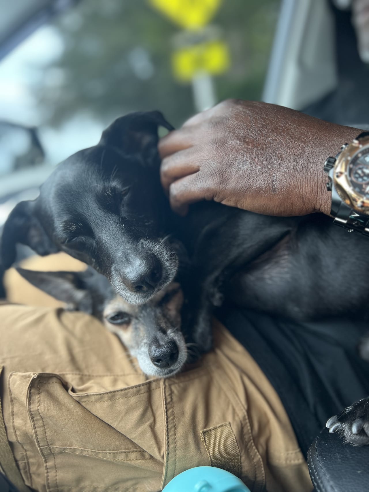 A post from Katt in Jacksonville.