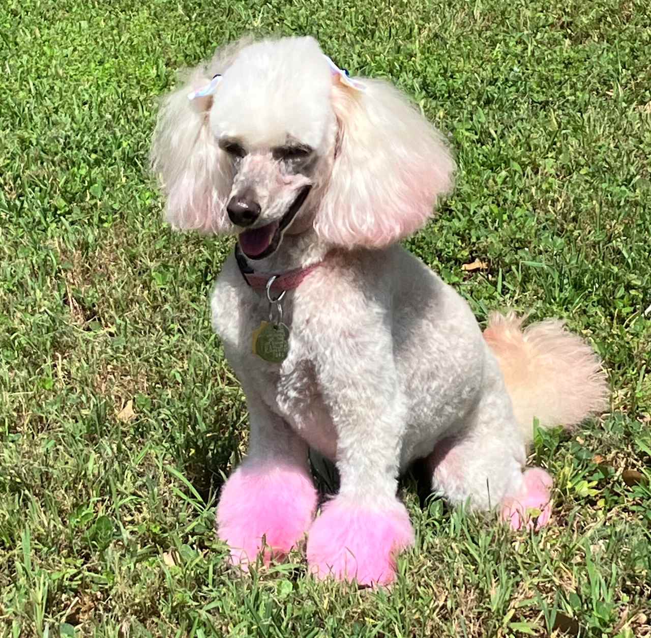 A post from connie todd in Winter Garden.