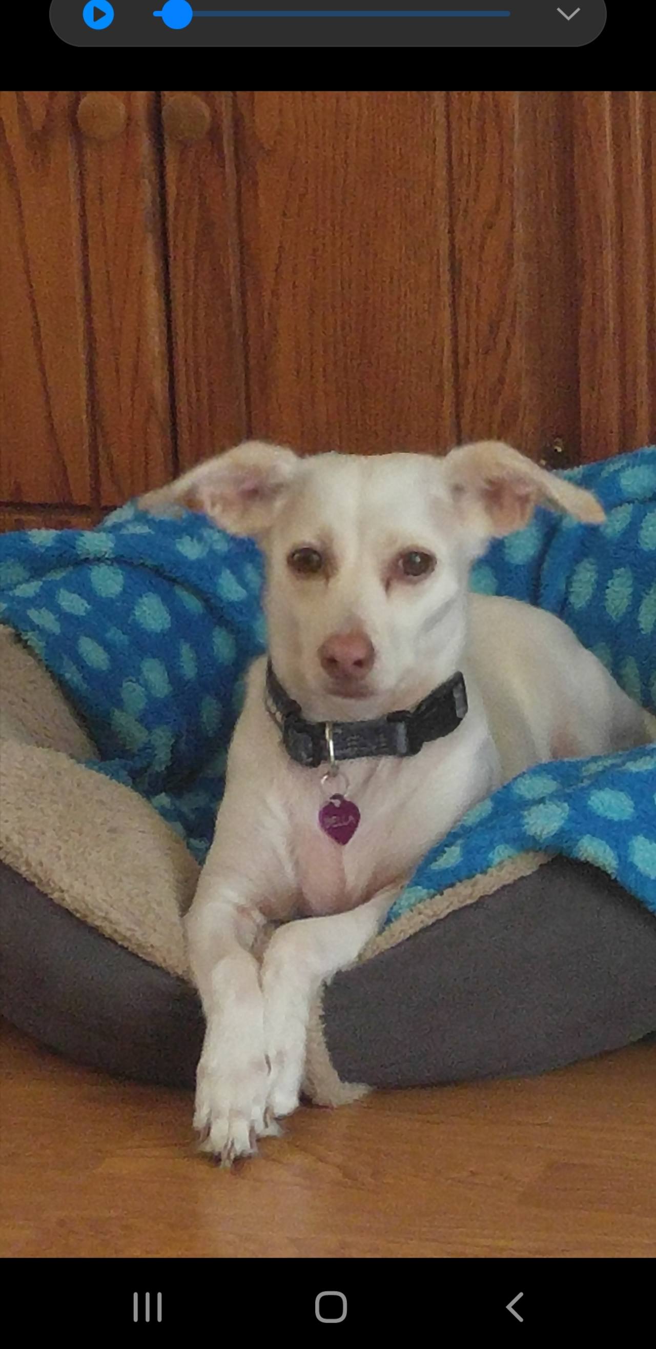 A post from Shelley in Green Cove Springs.