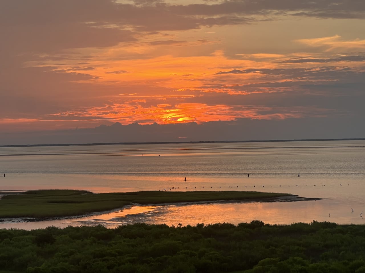 A post from Traci Rushton in Houston.