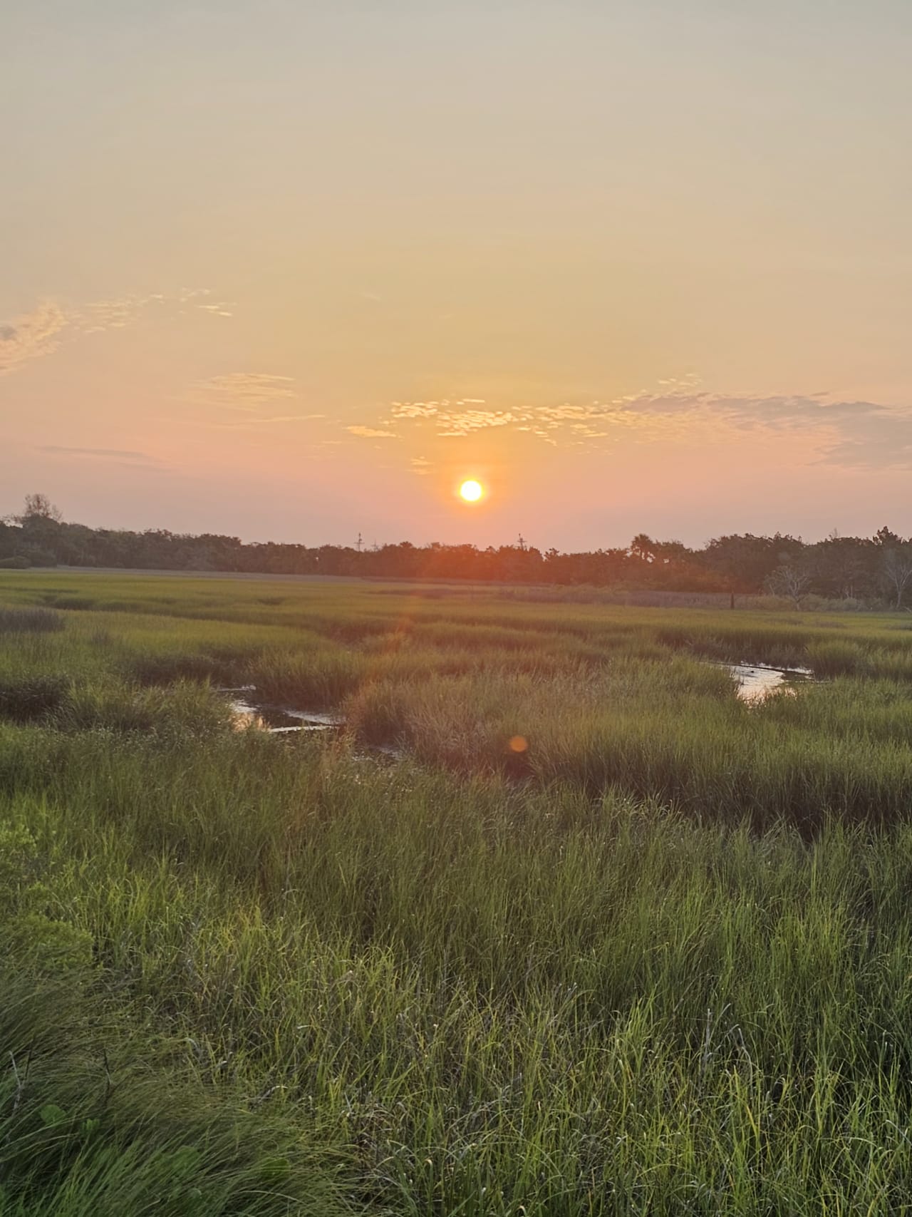 A post from Randy Conrad in Jacksonville.