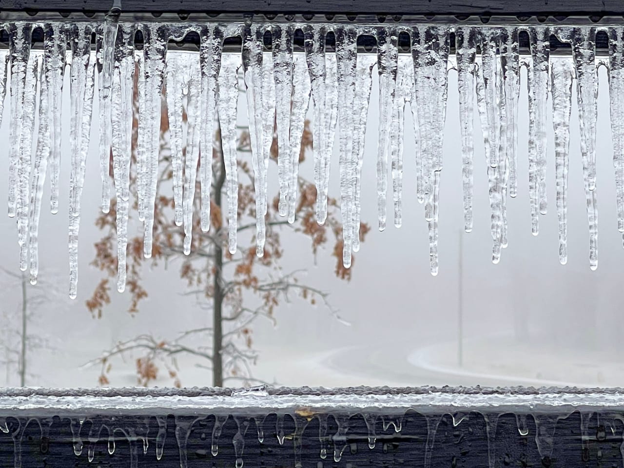 A post from Sandy Riddell in Washington.