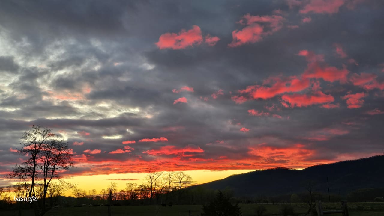 A post from Brenda Shafer in Roanoke.