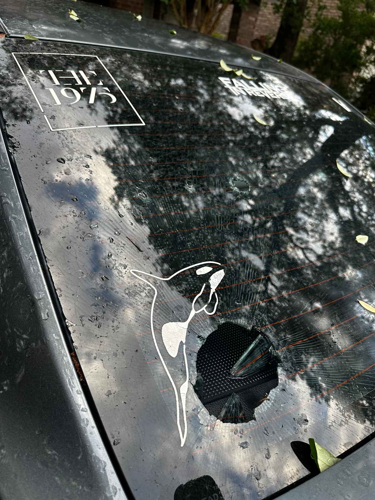 A post from Kinley Rice in Far West Side.