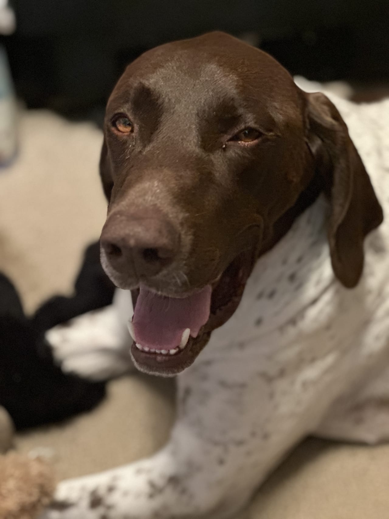 A post from Vicky Boston in Jacksonville.