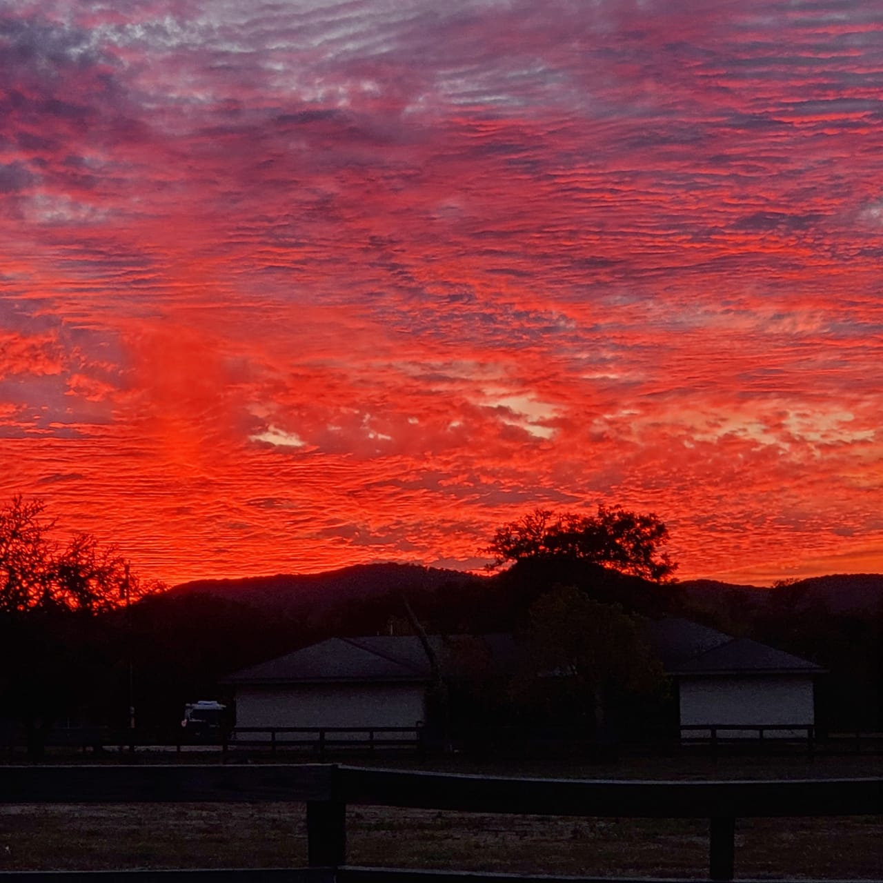 A post from Elaina Johnson in San Antonio.