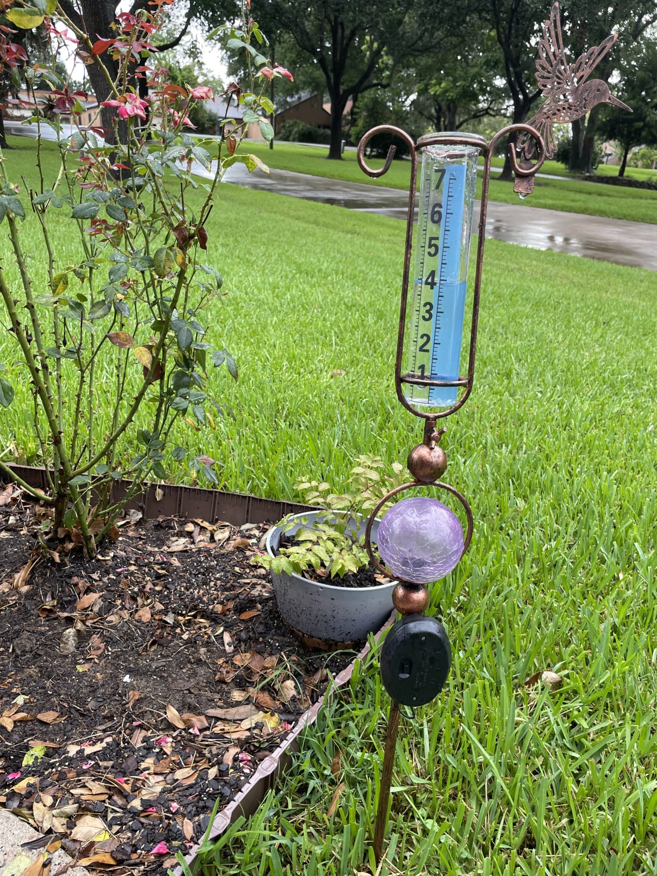 A post from Marla Gentry in Livingston.