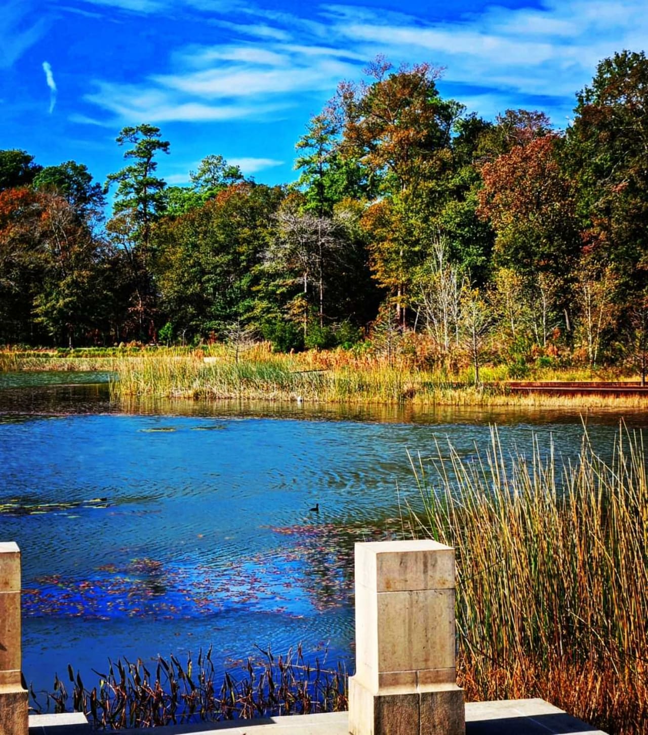 A post from Ron D. in Houston.