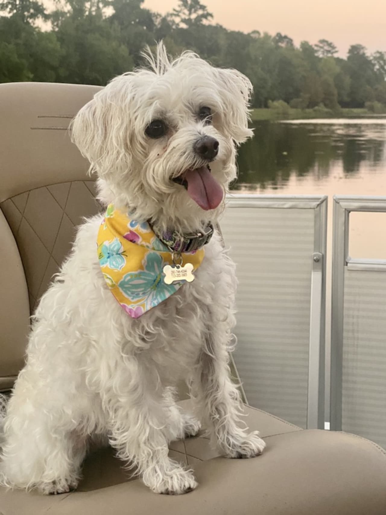 A post from Nancy in Spring.