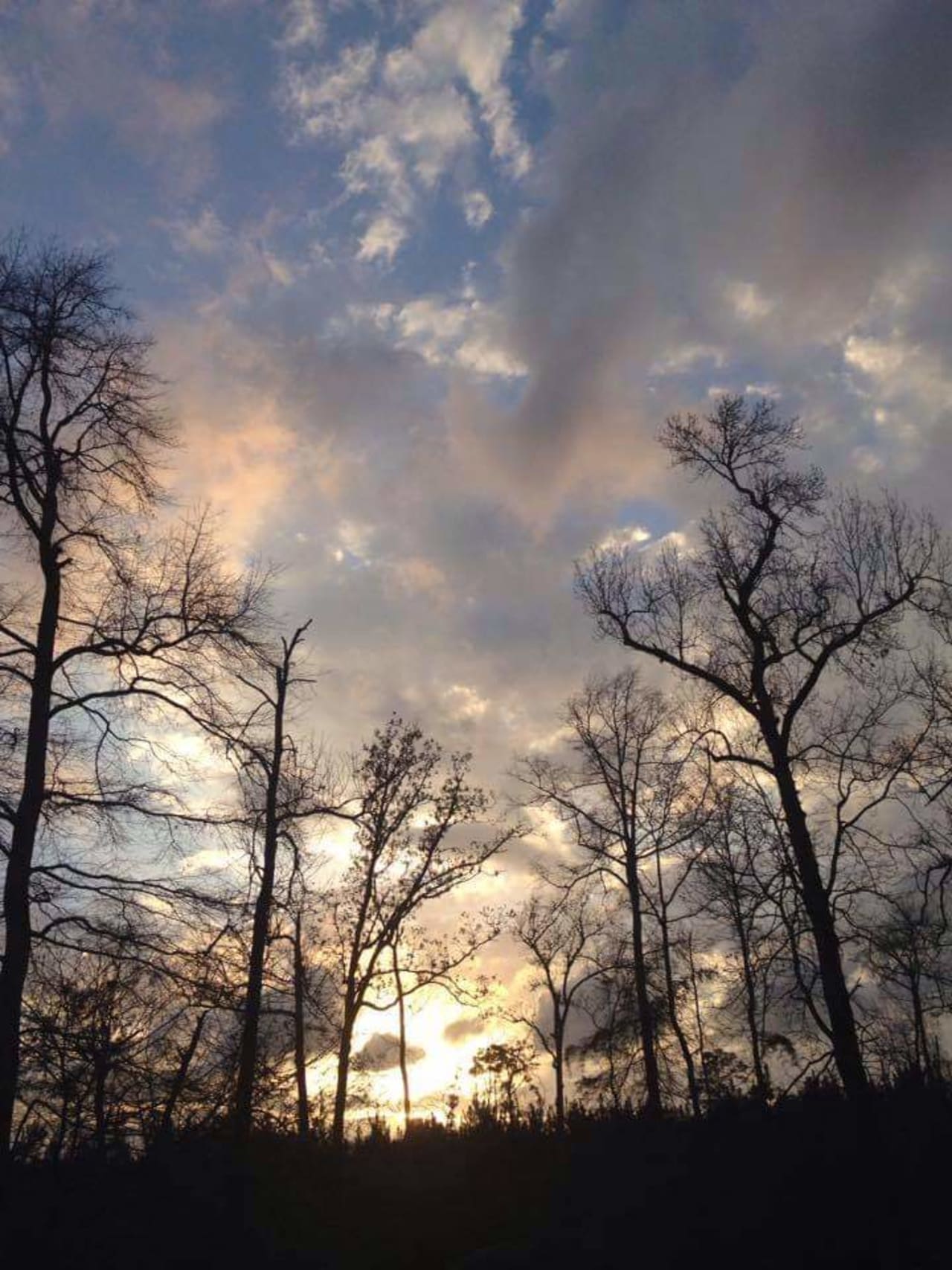 A post from Bonnie Lee Parker in Votaw.