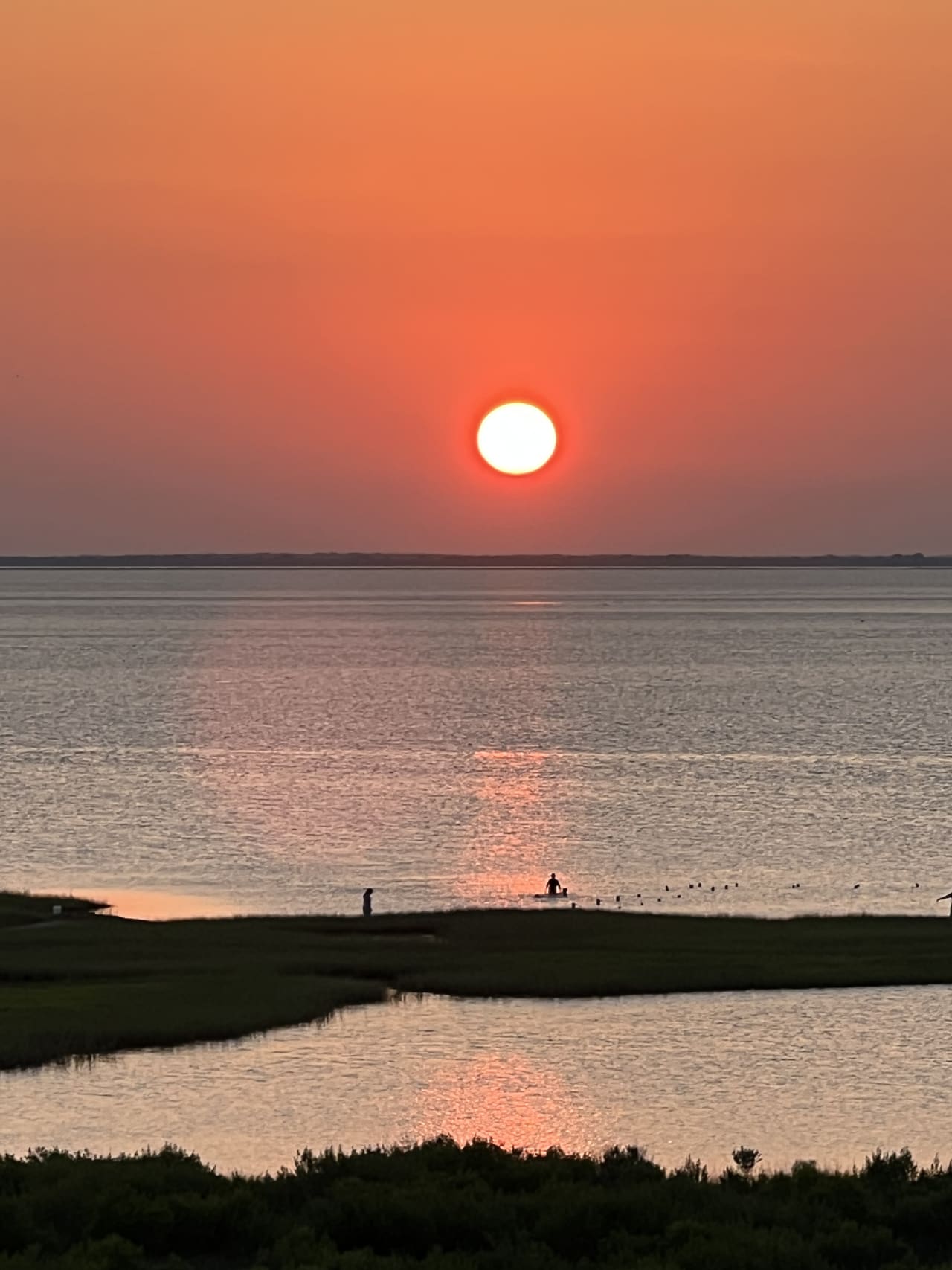 A post from Traci Rushton in Galveston.