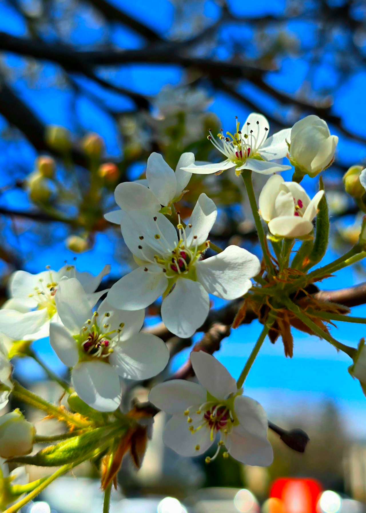 A post from Ken Chadwick in Ypsilanti.