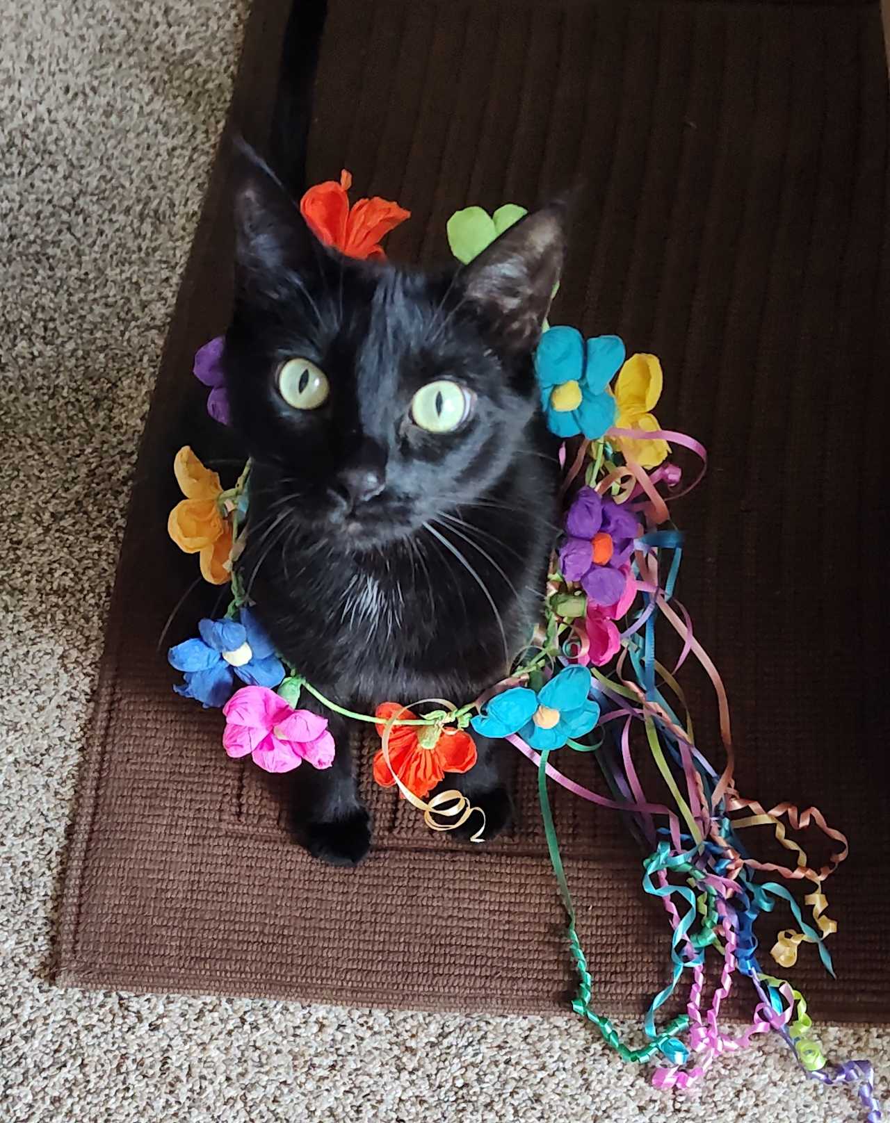 A post from Kathy Rose in San Antonio.