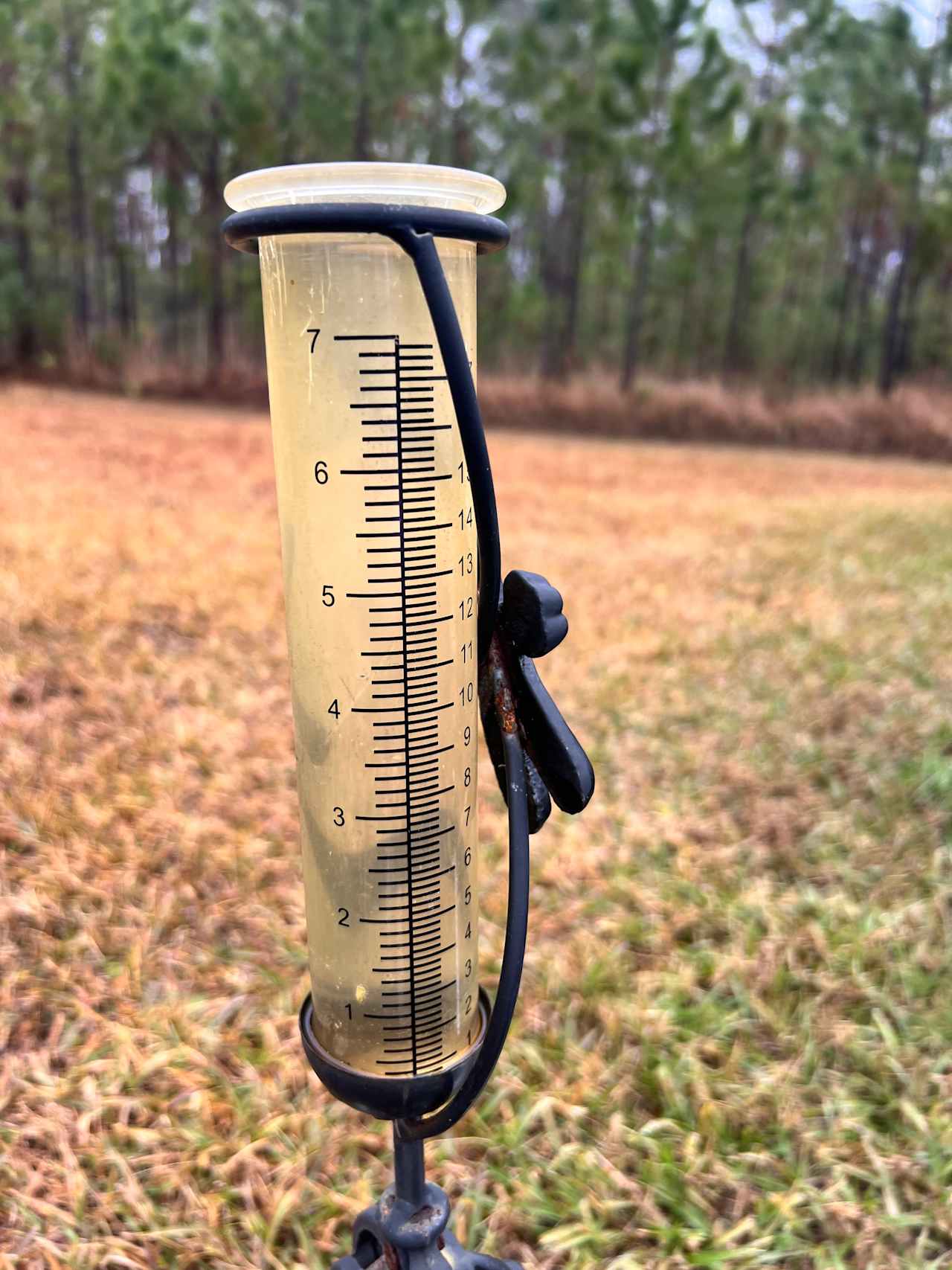 A post from Stephanie Harkins in Sanderson.