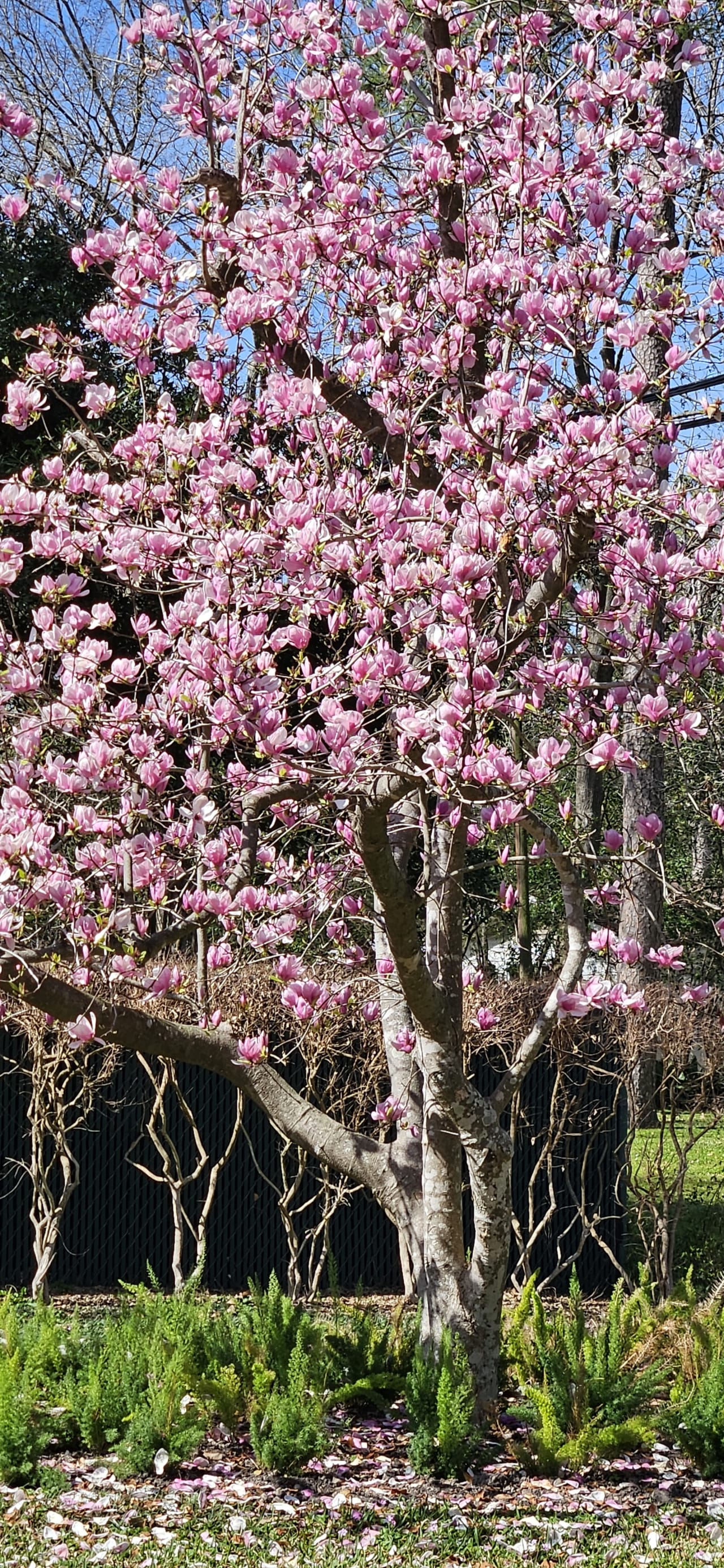 A post from Ron D. in Houston.