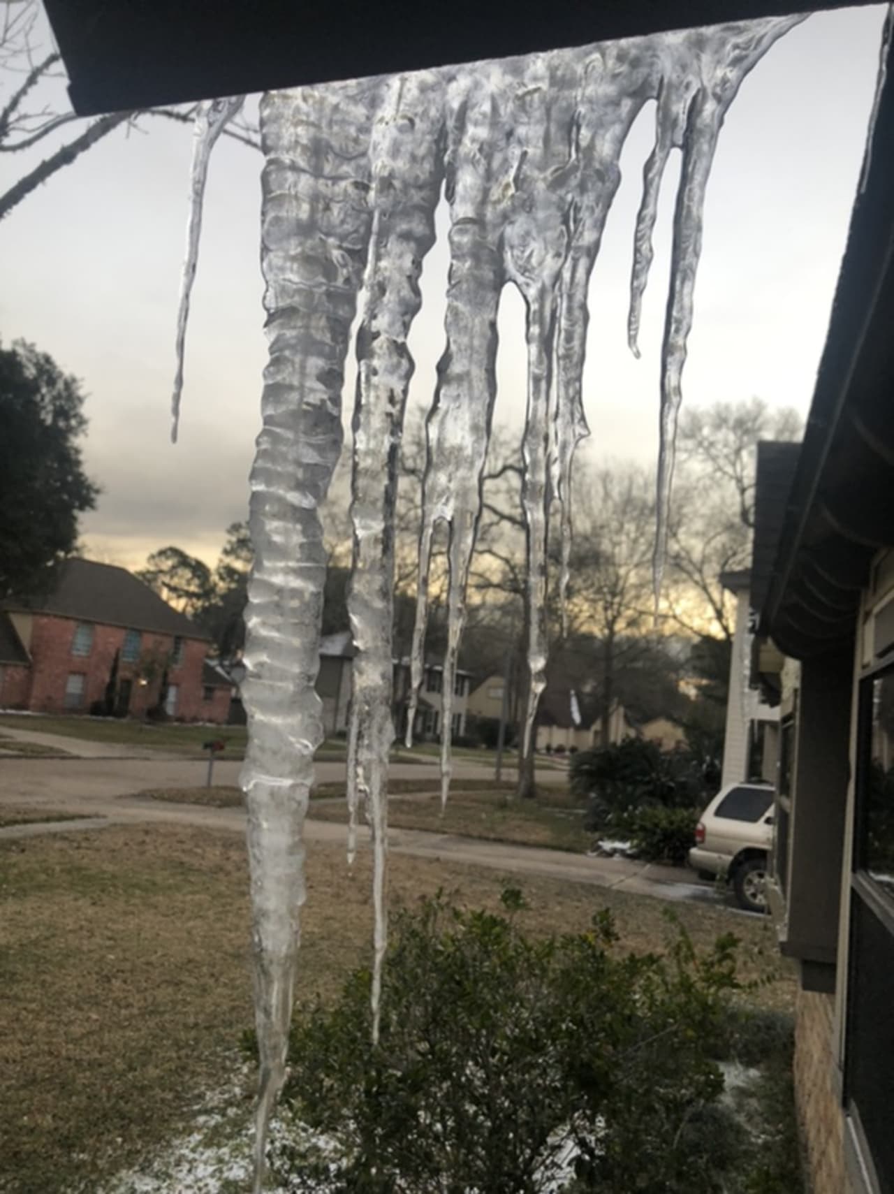 A post from Rebecca Benavides in Seabrook.