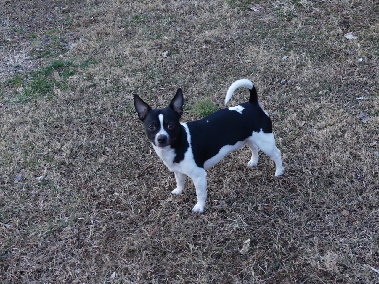 A post from Lexie S in Buchanan.