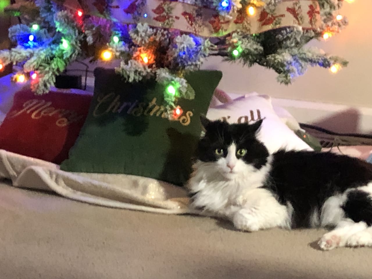 A post from Pam Mayberry in Roanoke.