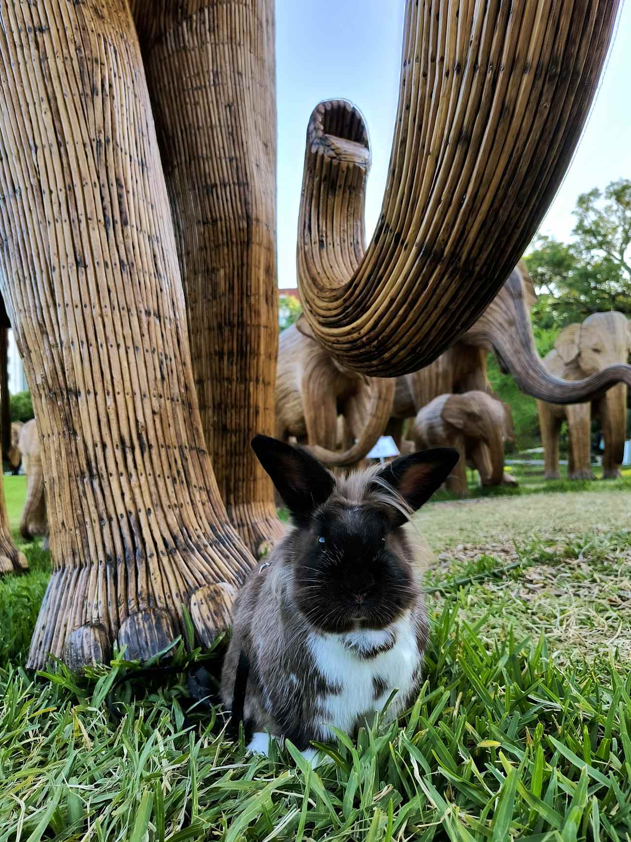 A post from Greyson's Dad in Houston.