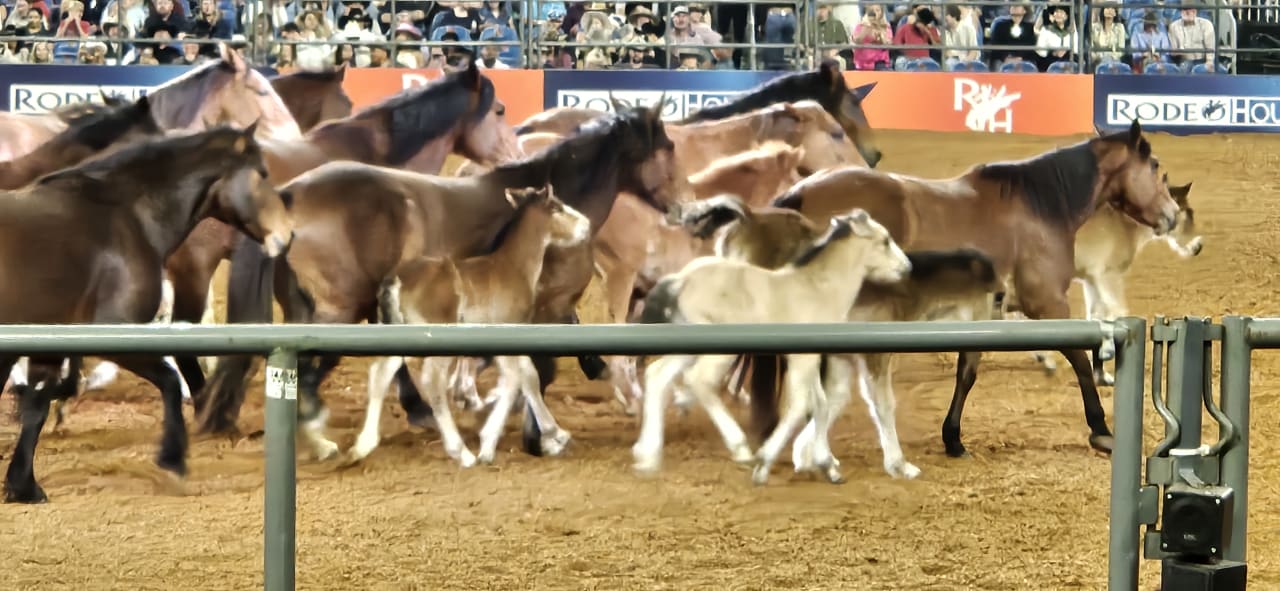 A post from Ron D. in Houston.