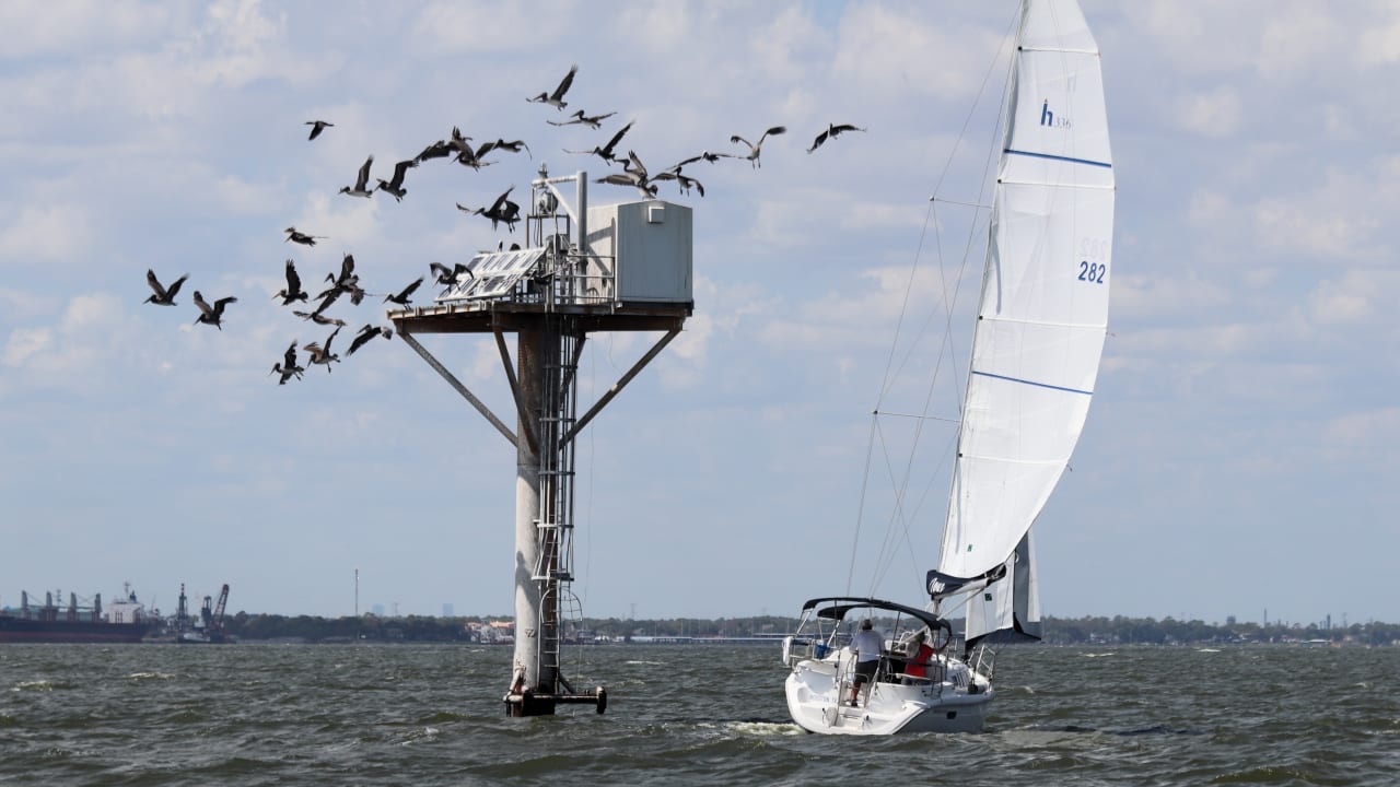 A post from baytownbill2 in Seabrook.