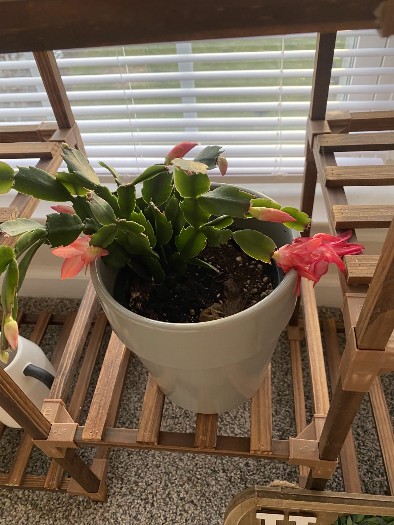 A post from Amy Cockerham in Paint Bank.