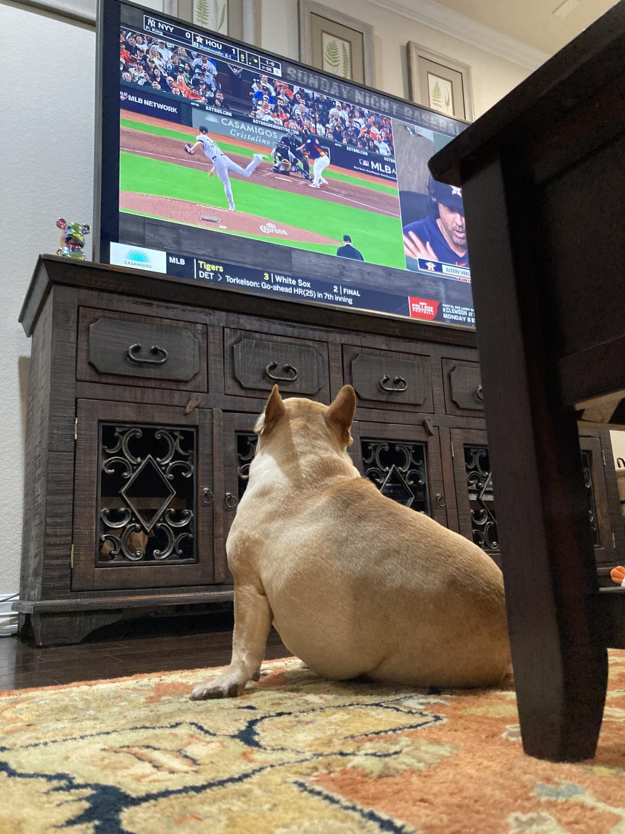 A post from Grace Fernandez in Sugar Land.