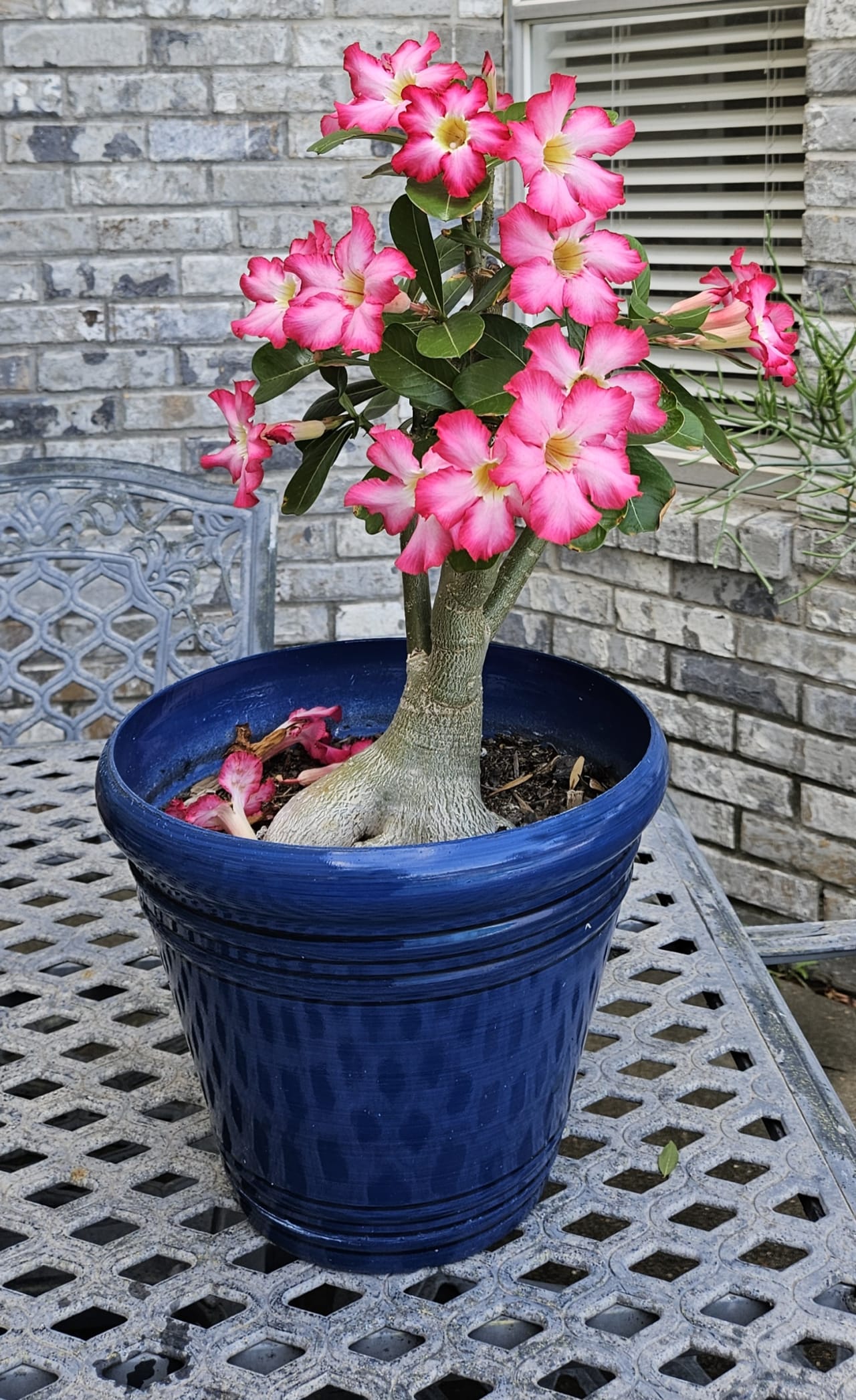 A post from Ron D. in Houston.