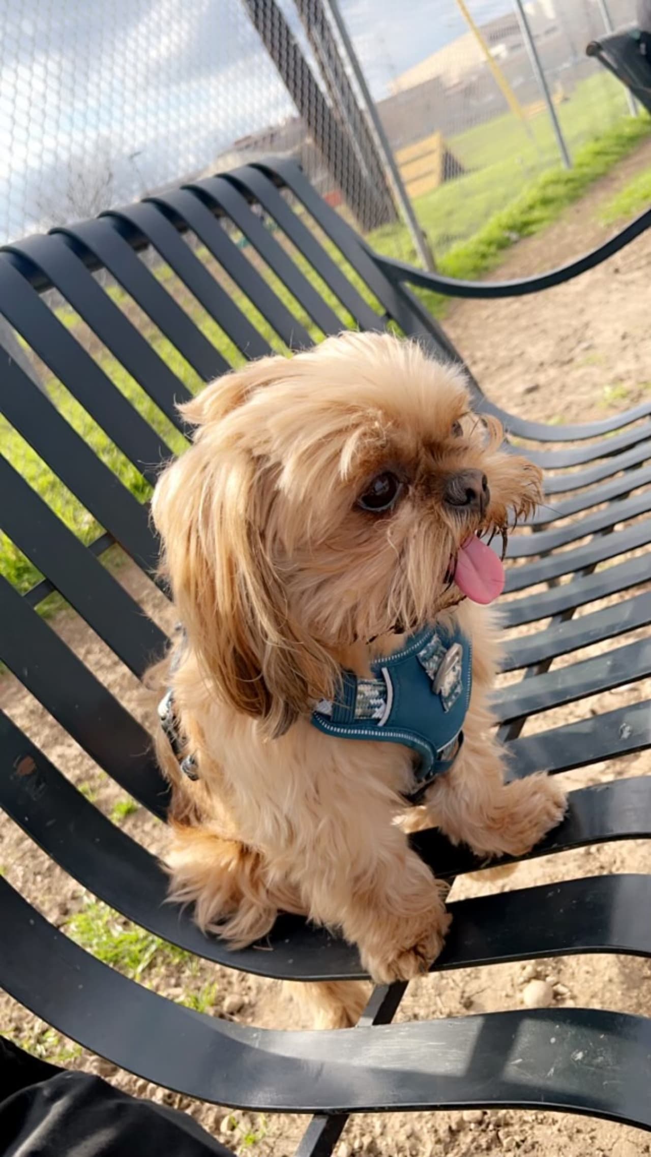 A post from Vic Castillo in San Antonio.