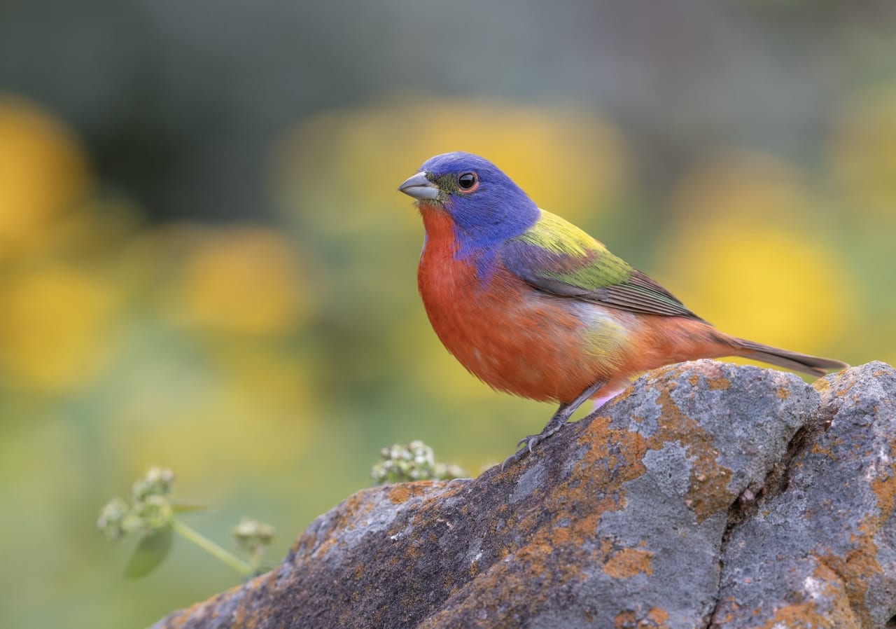 A post from Rick Dunlap in Houston.