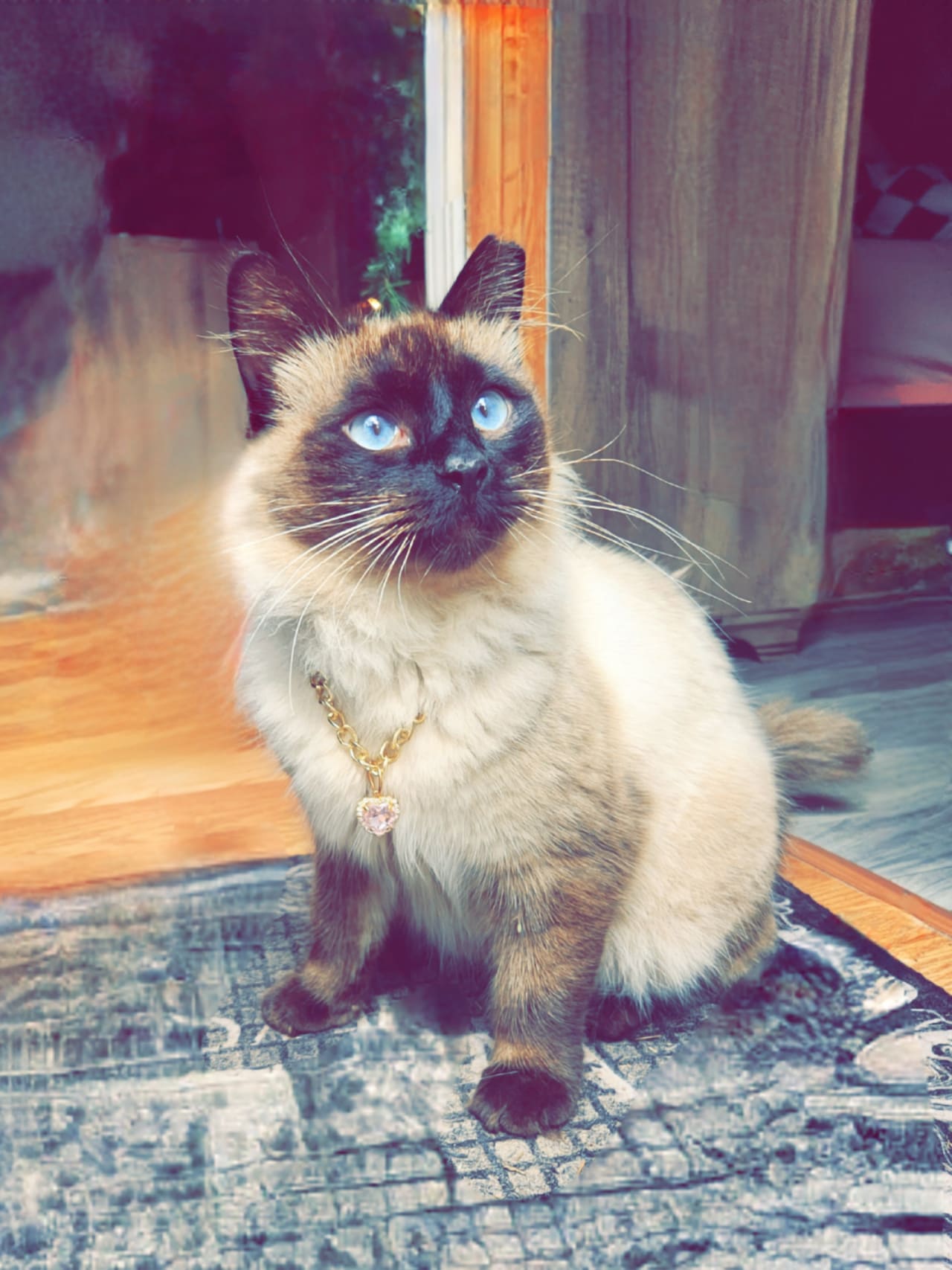 A post from taylor sanchez in Hastings.