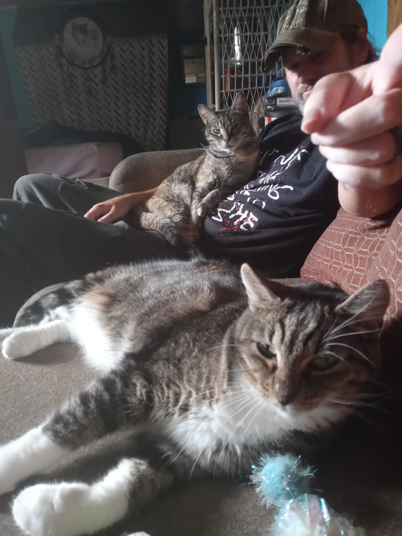 A post from Joelle Pappas in Daytona Beach.